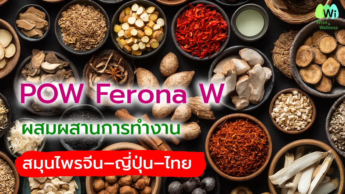 Ferona W ผสมผสานการทำงานสมุนไพรจีน–ญี่ปุ่น–ไทย
