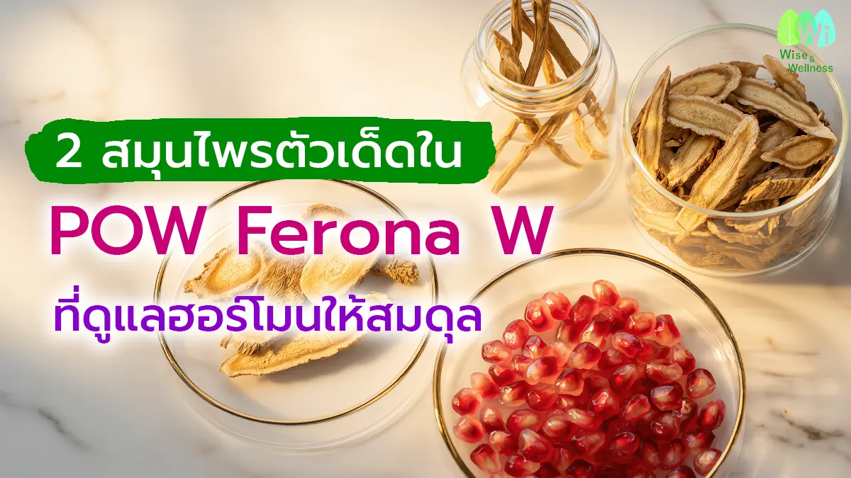 2 สมุนไพรตัวเด็ดใน POW Ferona W ที่ดูแลฮอร์โมนให้สมดุล
